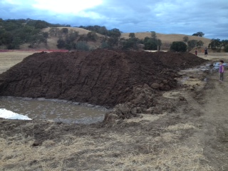 rolling mud – GRIT FARM FITNESS AND EQUINE assisted learning CENTRE